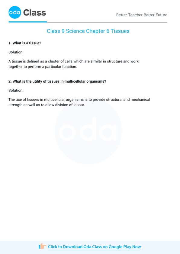 NCERT Solutions for Class 9 Science Chapter 6